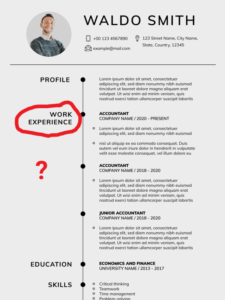 Career Hub - Intelligent CV ™ - Resume CV Tips By Experts